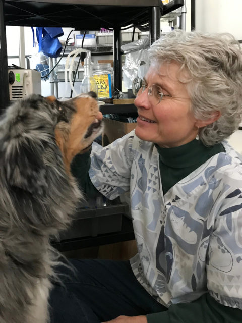 Meet Our Veterinary Team Lead By Dr. Judy Jasek - Animal Healing Arts